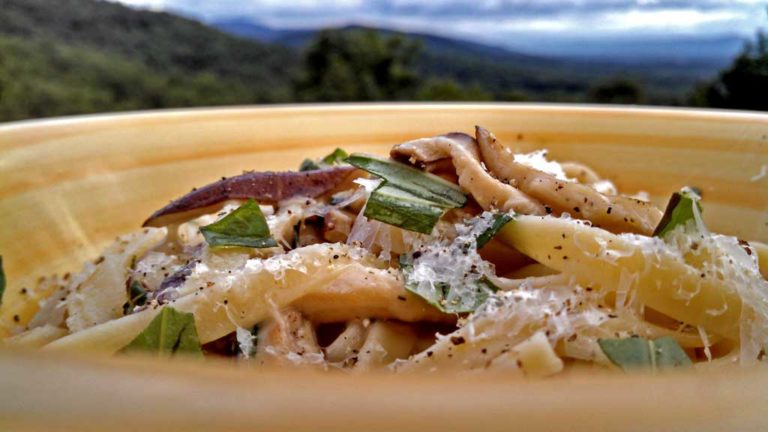 Zesty Shiitake Mushroom Pasta {A Meatless Monday Recipe
