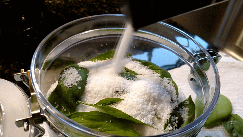 4 Ways to Preserve Basil For The Winter Months - The Mountain Kitchen