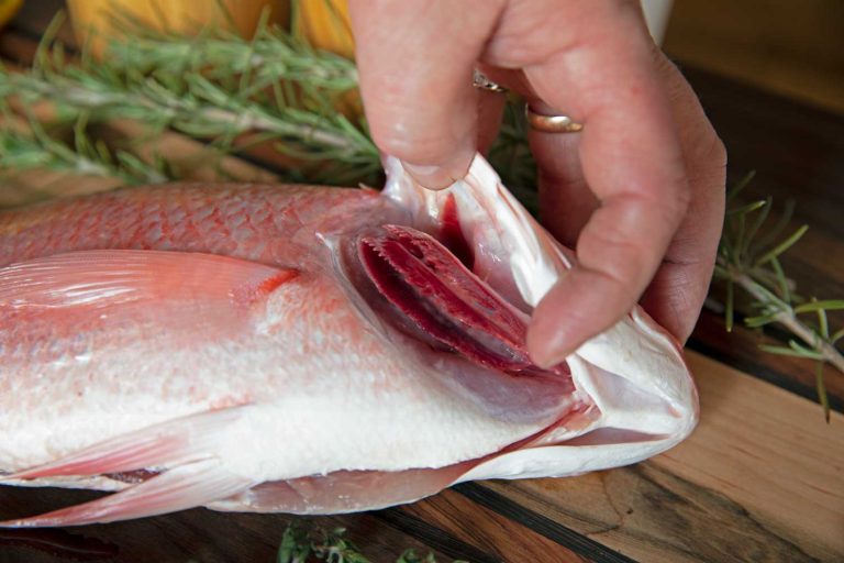 Grilled Whole Red Snapper - The Mountain Kitchen