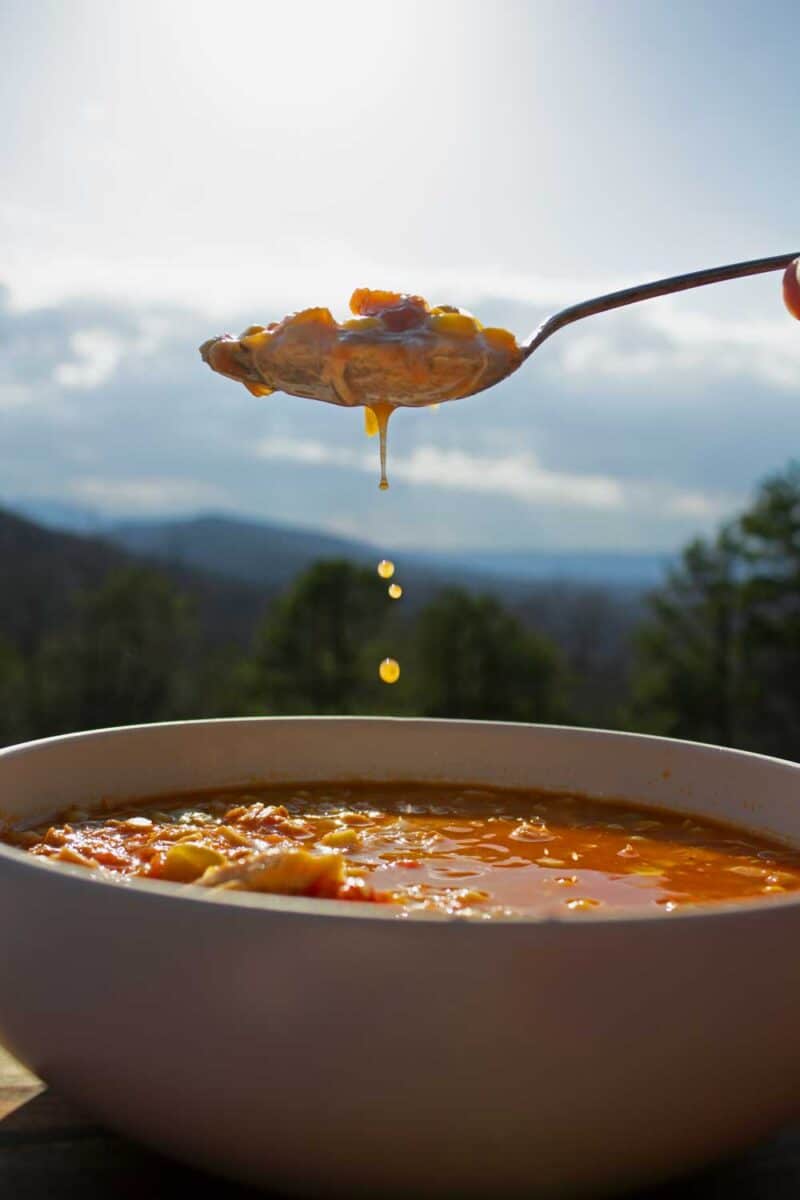 My Go-To Chicken Vegetable Soup Recipe - The Mountain Kitchen