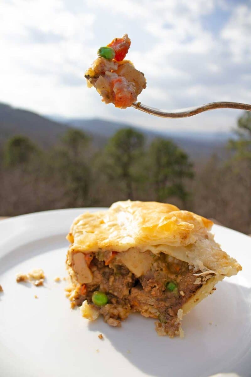 Venison Pot Pie: Comfort Food from a Lucky Hunt - The Mountain Kitchen